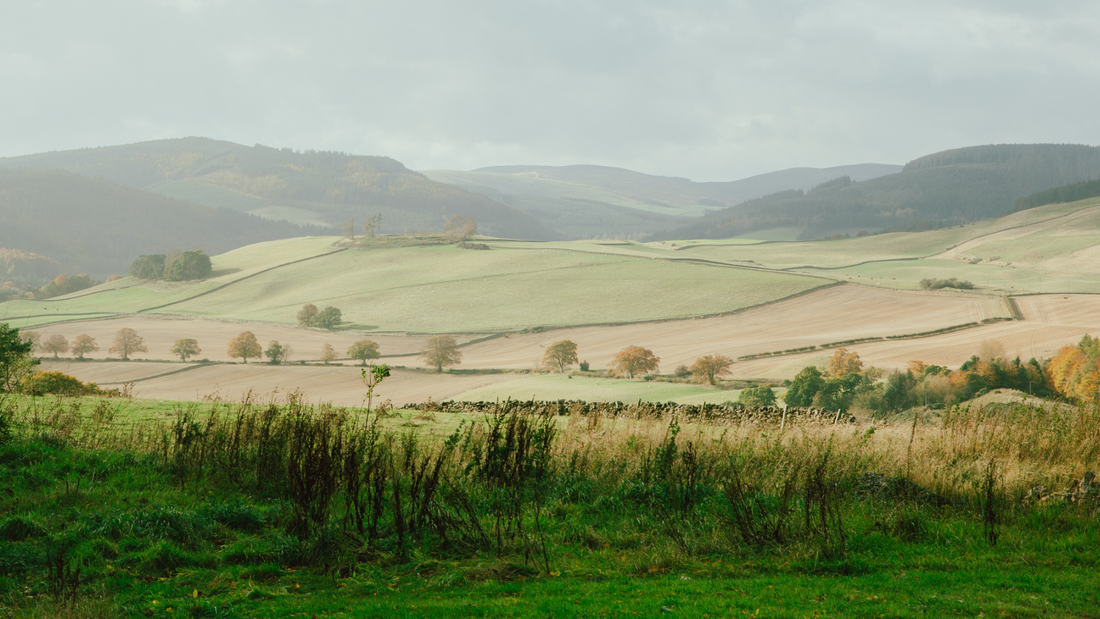 Made in Scotland Knitwear | Cardigans Sweaters & Tops – ERIBÉ Knitwear